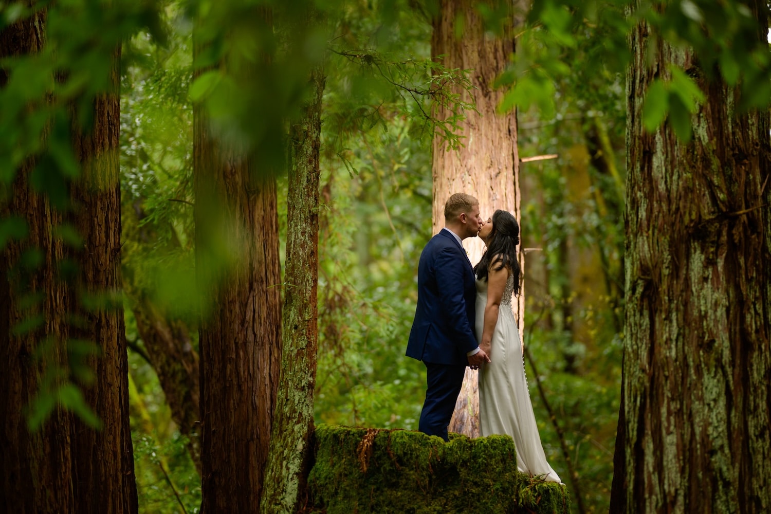 Is Eloping Right for Me? 6 Questions to Help You Decide - Blue Sky ...